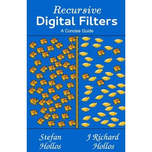 Recursive Digital Filters A Concise Guide Paperback Abrazol