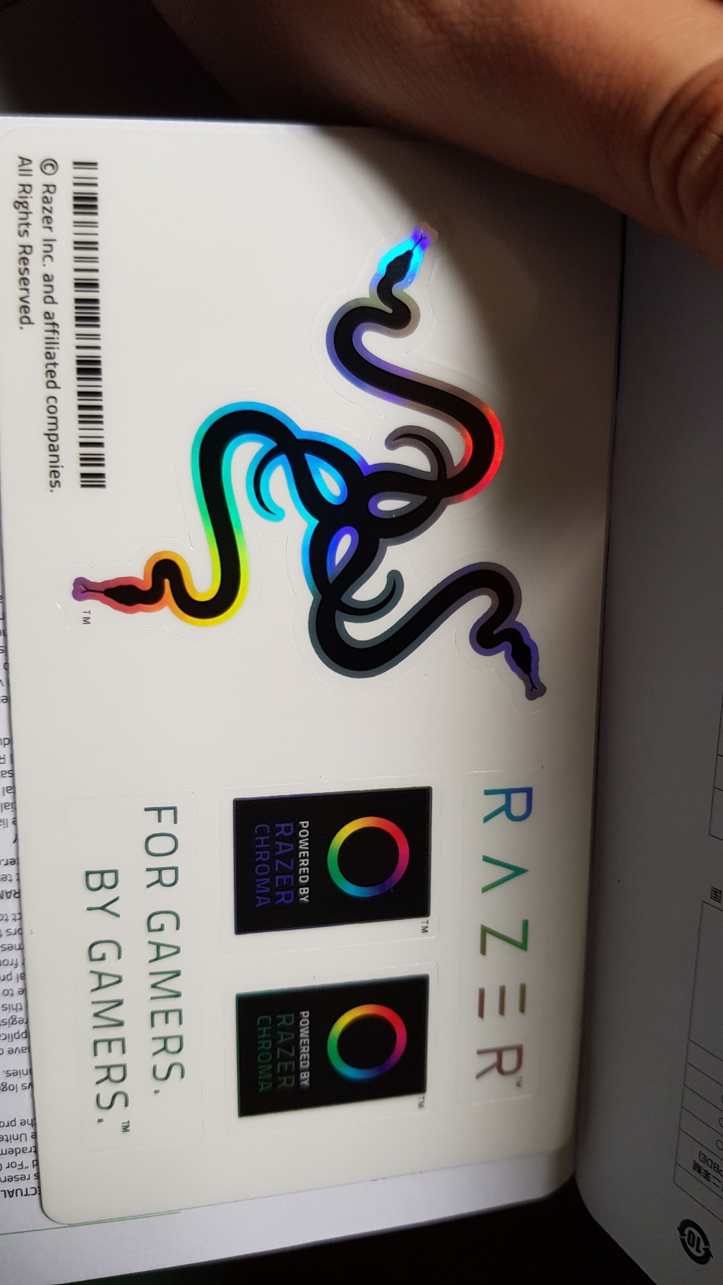 레이저 바이퍼 eSports 유선마우스 RZ01-0255 후기 및 리뷰