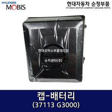 배터리용품 - 배터리, 배터리충전기, 점프선케이블, 배터리터미널 | 쿠팡