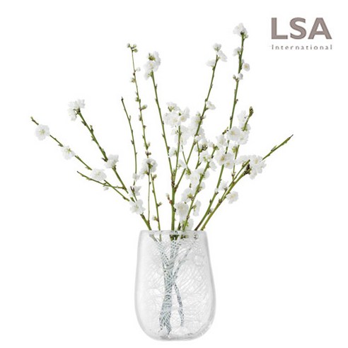 LSA 코튼 화병 / LSA 코튼 화병 - 가격 변동 추적 그래프 - 역대가