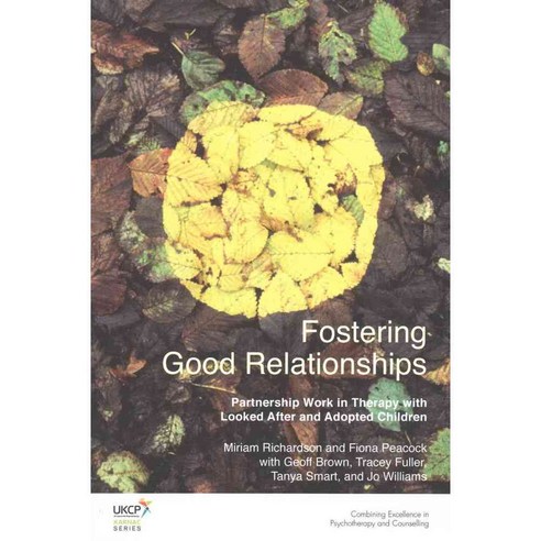 Fostering Good Relationships: Partnership Work in Therapy With Looked ...