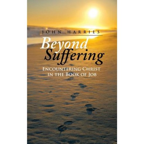 Beyond Suffering: Encountering Christ in the Book of Job Paperback ...