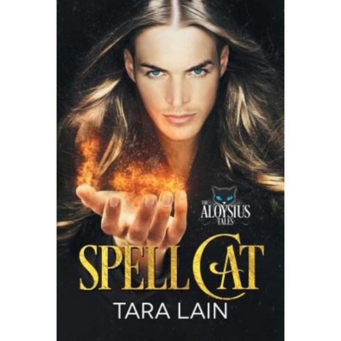Spell Cat Paperback, Dreamspinner Press - 가격 변동 추적 그래프 - 역대가
