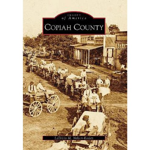 Copiah County Paperback, Arcadia Publishing (SC) - 가격 변동 추적 그래프 - 역대가