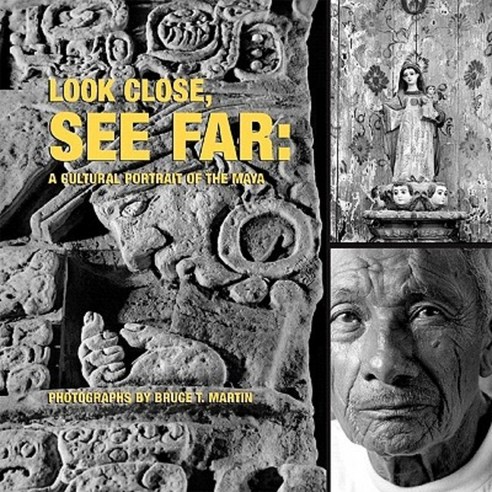 Look Close See Far: A Cultural Portrait of the Maya Hardcover, George ...