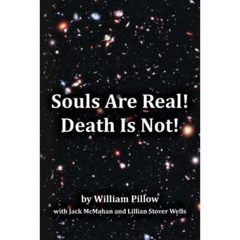 Souls Are Real! Death Is Not! Paperback, Createspace - 가격 변동 추적 그래프 - 역대가