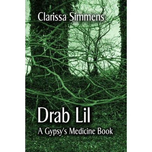 Drab Lil: A Gypsy''s Medicine Book Paperback, Createspace - 최저가 알림ㆍ특가 ...
