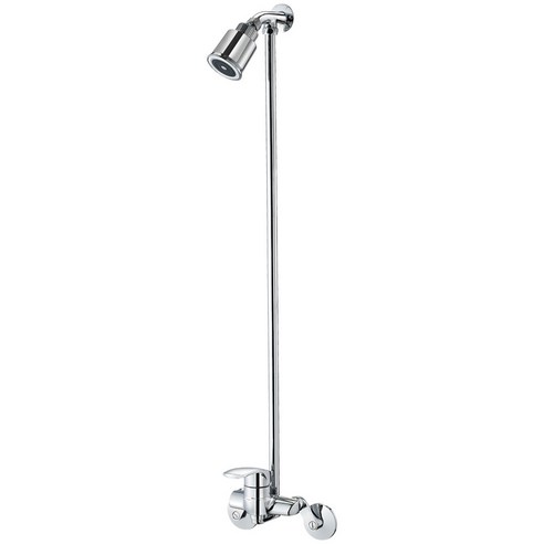 다인이엔지 기본형 입식 노출 대샤워수전 DB1020, 1개 - 가격 변동 추적 그래프 - 역대가