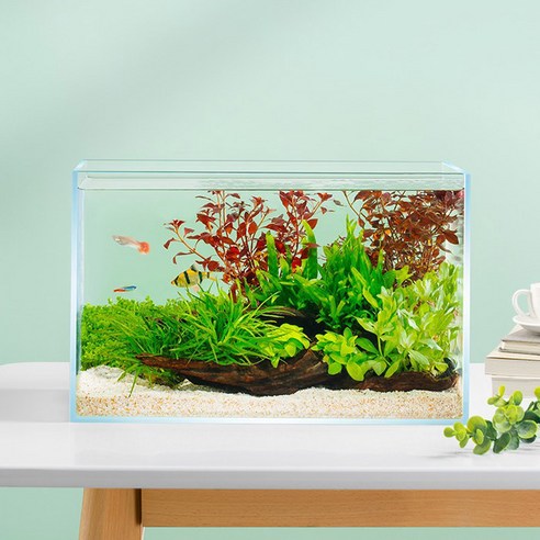 AQUAB 透明水族箱玻璃魚缸水槽組 酷澎 - 天天低價，你的日常所需都在酷澎