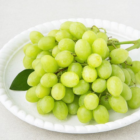 PSK 미국산 청포도 스텔라벨라, 490g, 1팩 - 가격 변동 추적 그래프 - 역대가