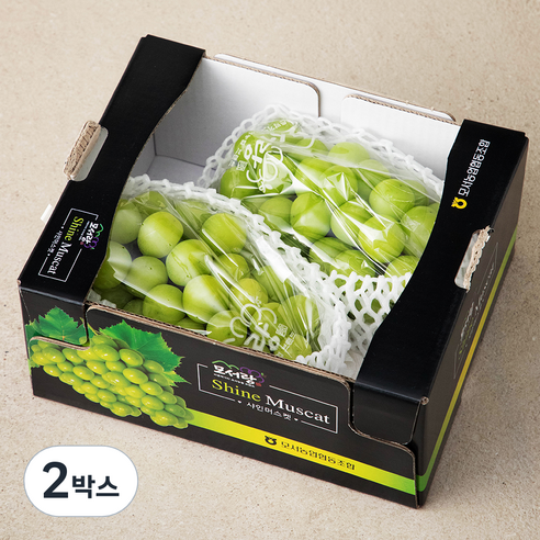 모서랑 농협 GAP 인증 샤인머스켓, 1.5kg, 2박스 - 가격 변동 추적 그래프 - 역대가