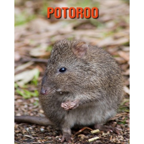 Potoroo: Amazing Facts about Potoroo Paperback, Independently Published ...