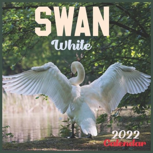 (영문도서) White Swan CALENDAR 2022: Official Swan CALENDAR 2022 Cute ...