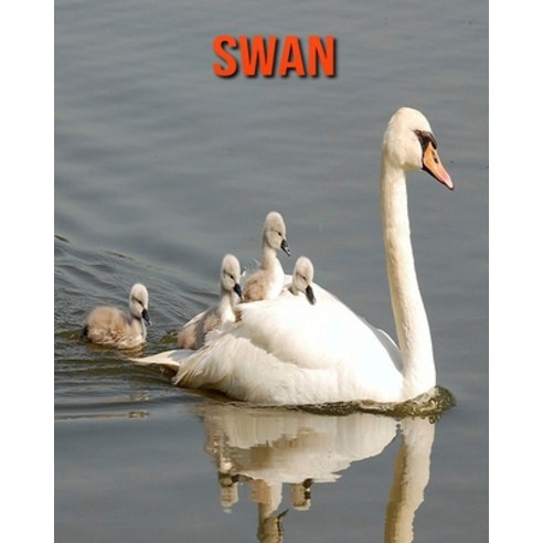 Swan: Amazing Facts about Swan Paperback, Independently Published ...