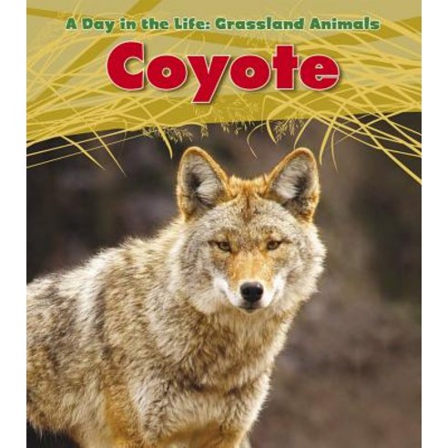 Coyote Paperback, Heinemann Educational Books - 가격 변동 추적 그래프 - 역대가