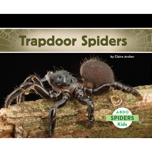 Trapdoor Spiders Paperback, Abdo Kids Jumbo, English, 9781731645326 ...