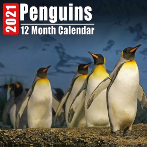 Calendar 2021 Penguins: Cute Penguin Photos Monthly Mini Calendar With ...