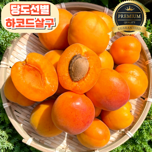 '고당도 하코드살구 18brix 경북영천 산지직송, 2kg, 1개' 최저가 검색, 최저가 23,600원 - 할인 알림