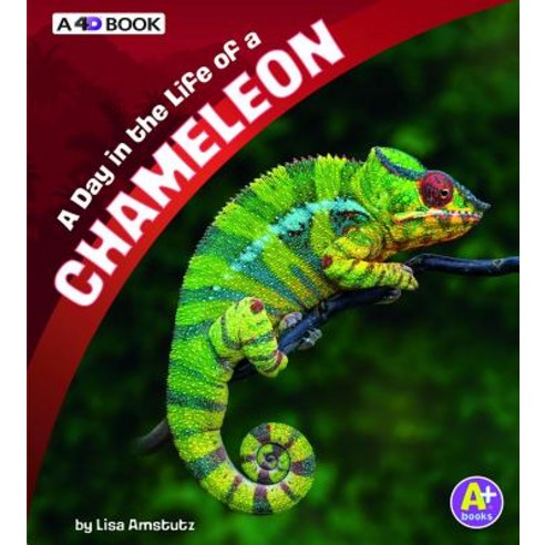 A Day in the Life of a Chameleon: A 4D Book Paperback, Pebble Books ...