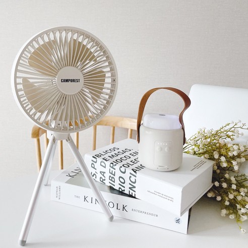 루메나무선서큘레이터 루메나 FAN STAND 3Z 무선 써큘레이터, FAN-STAND3Z-BG, 새틴베이지