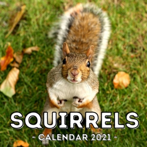 Squirrels Calendar 2021: 16-Month Calendar Cute Gift Idea For Squirrels ...