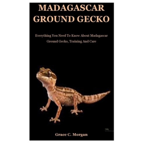 Madagascar Ground Gecko: Everything You Need To Know About Madagascar ...