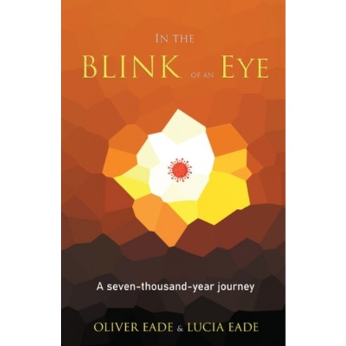In The Blink Of An Eye Paperback, Silver Quill Publishing, English, 97819125135