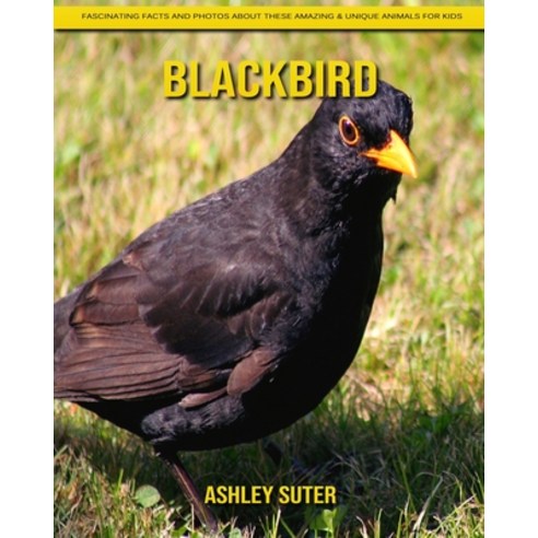 Blackbird: Fascinating Facts and Photos about These Amazing & Unique ...