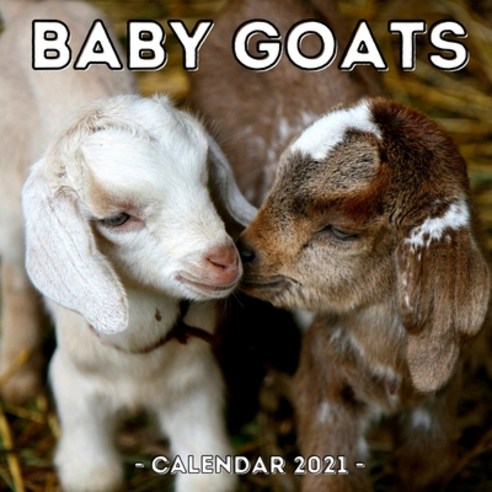 Baby Goats Calendar 2021: 16-Month Calendar Cute Gift Idea For Goat ...