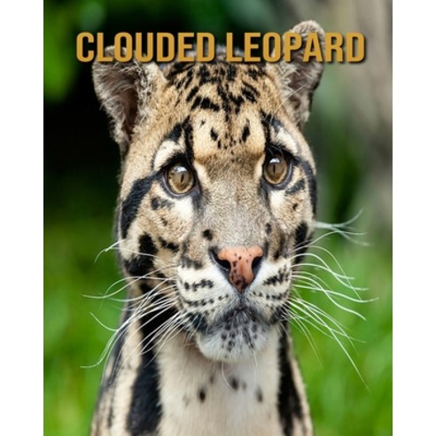 Clouded Leopard: Children''s Book An Amazing Animal Picture Book about ...