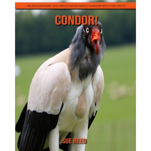 Condor! An Educational Children''s Book about Condor with Fun Facts Paperback,