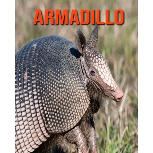 Armadillo: Fun Learning Facts About Armadillo Paperback, Independently Publishe