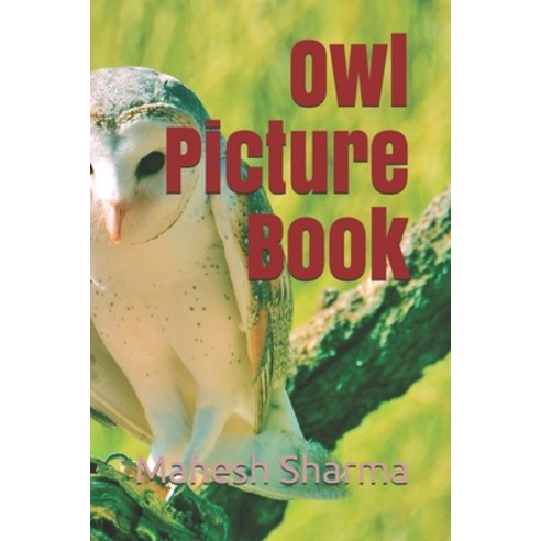 Owl Picture Book Paperback, Independently Published, English ...