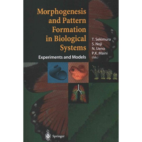 Morphogenesis and Pattern Formation in Biological Systems: Experiments and Mode