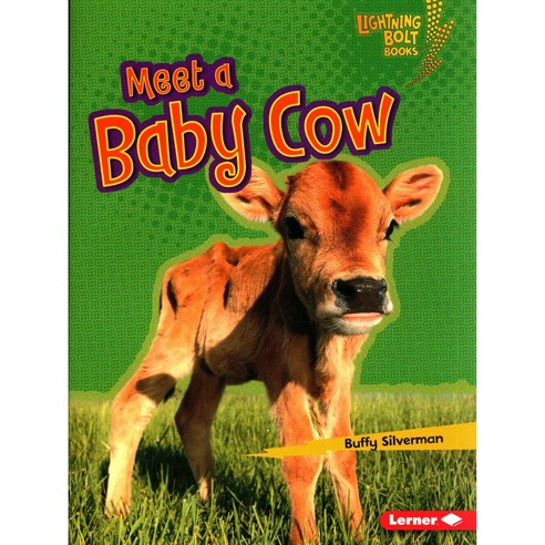 Meet a Baby Cow, Lernerclassroom - 가격 변동 추적 그래프 - 역대가