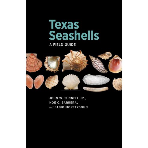Texas Seashells: A Field Guide, Texas A & M Univ Pr - 가격 변동 추적 그래프 - 역대가