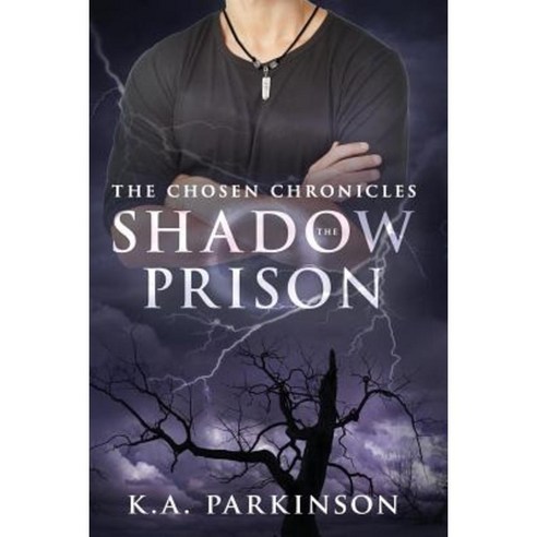 The Shadow Prison Paperback, Snowy Peaks Media - 가격 변동 추적 그래프 - 역대가