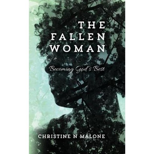 The Fallen Woman: Becoming God''s Best Paperback, Createspace ...