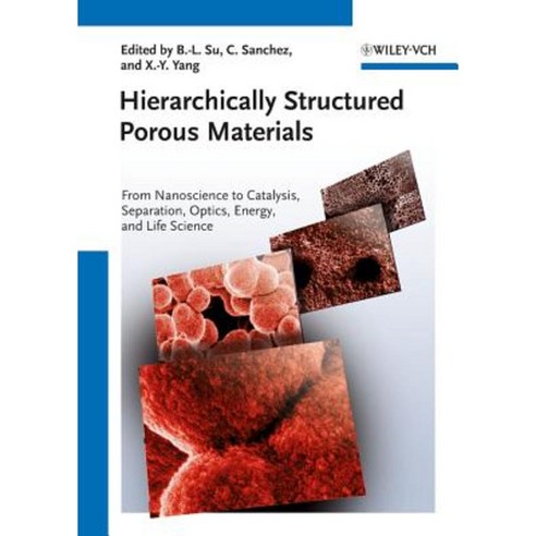 Hierarchically Structured Porous Materials: From Nanoscience to ...