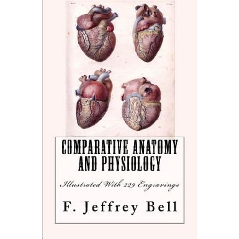 Comparative Anatomy and Physiology: Illustrated with 229 Engravings ...