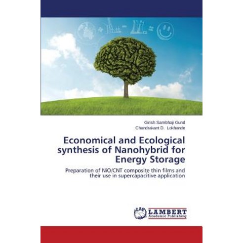Economical and Ecological Synthesis of Nanohybrid for Energy Storage Paperback, LAP Lambert ...