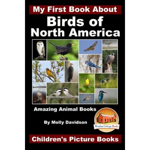 My First Book about the Birds of North America - Amazing Animal Books ...