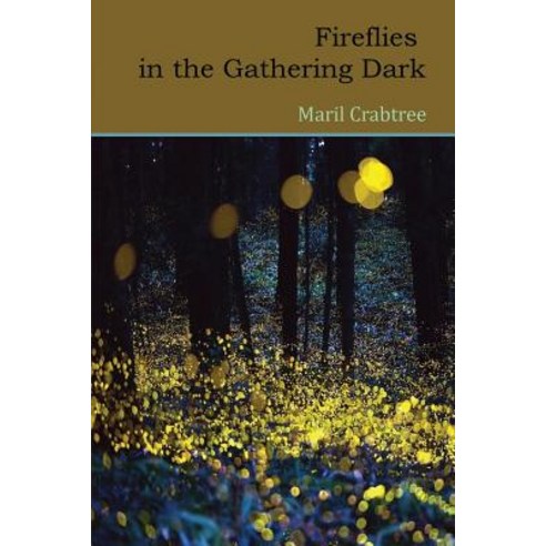 Fireflies in the Gathering Dark Paperback, Kelsay Books - 가격 변동 추적 그래프 ...