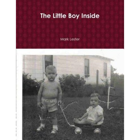 The Little Boy Inside Paperback, Lulu.com - 가격 변동 추적 그래프 - 역대가