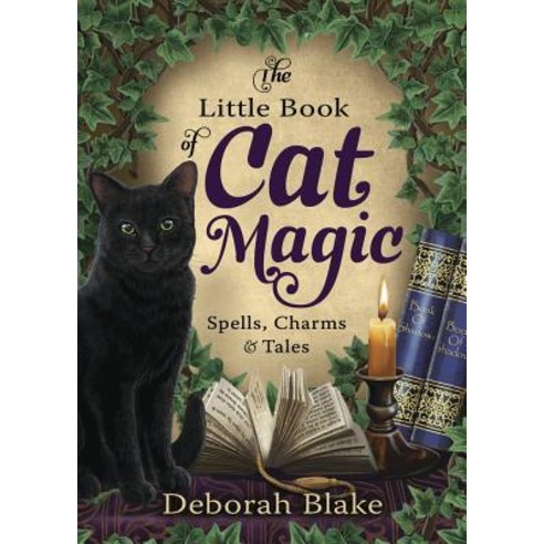 The Little Book of Cat Magic: Spells Charms & Tales Hardcover, Llewellyn Public